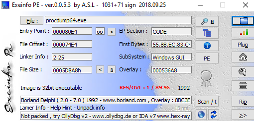 NetWalker Ransomware in 1 Hour - The DFIR Report
